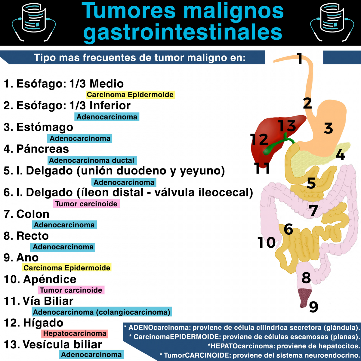 Infografía: Tumores gastrointestinales malignos – Farmacias GEN